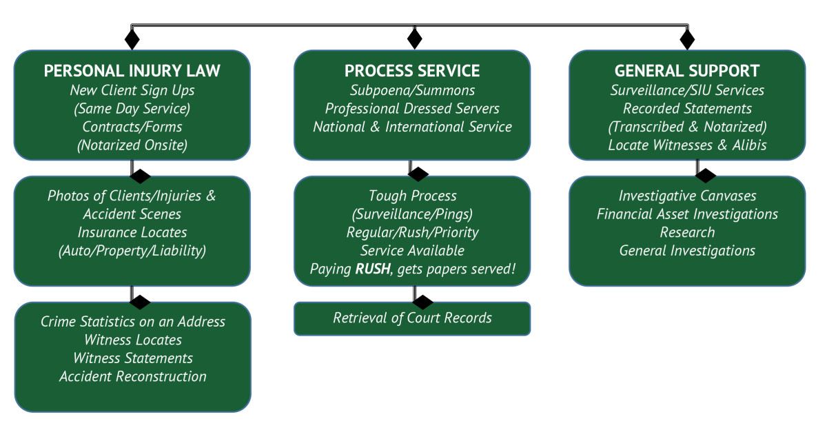 Legal Support - Counter Intelligence Services